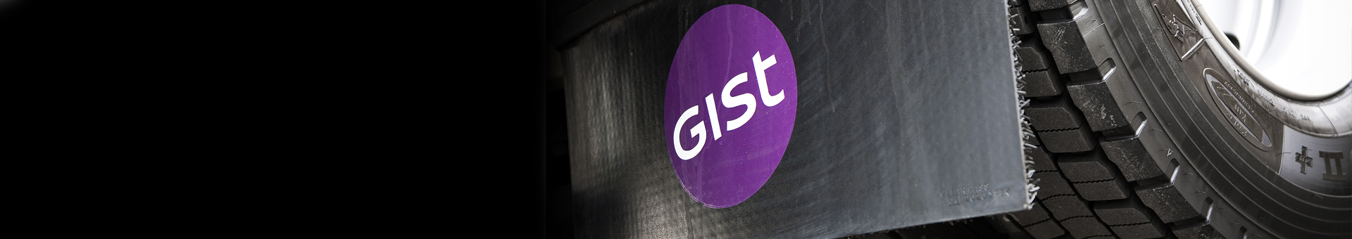 What we do | Gist Limited