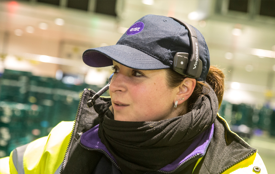 Key Roles | Gist Limited